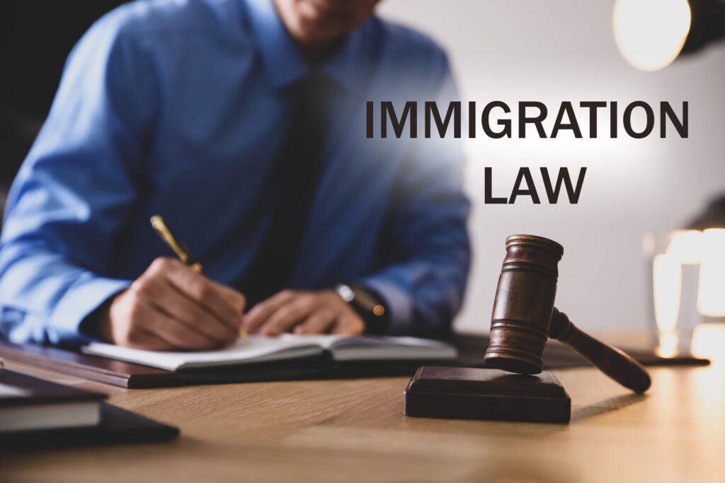 How an Immigration Law Lawyer Can Secure Your Future in America ...